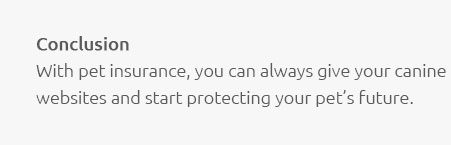 How Much Is Pet Insurance and Why Your Pet Needs It