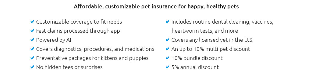How Much Is Pet Insurance and Why Your Pet Needs It